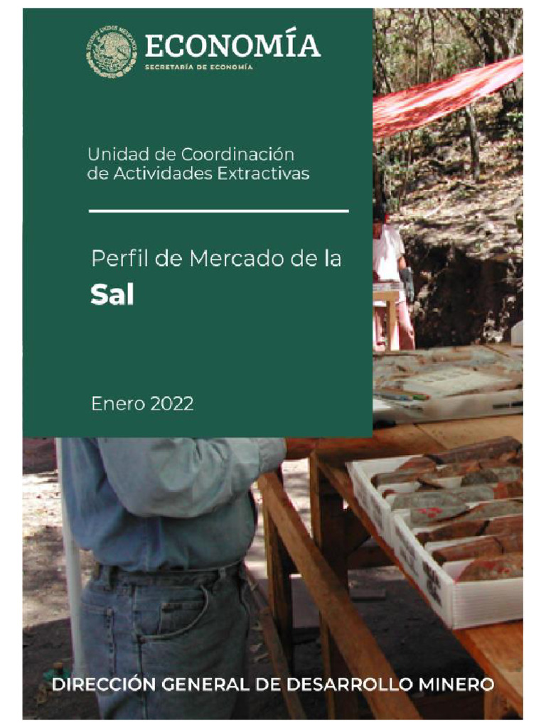 Fórmula y Mercado de la Sal Común | PDF | sal | Sal (química)
