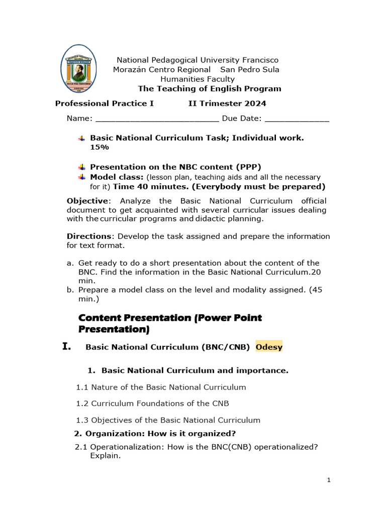 Basic National Curriculum Task | PDF | Curriculum | Learning