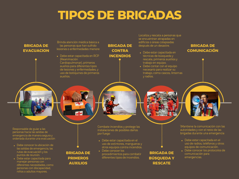 Tipos de Brigadas | PDF | Reanimación cardiopulmonar | Primeros auxilios