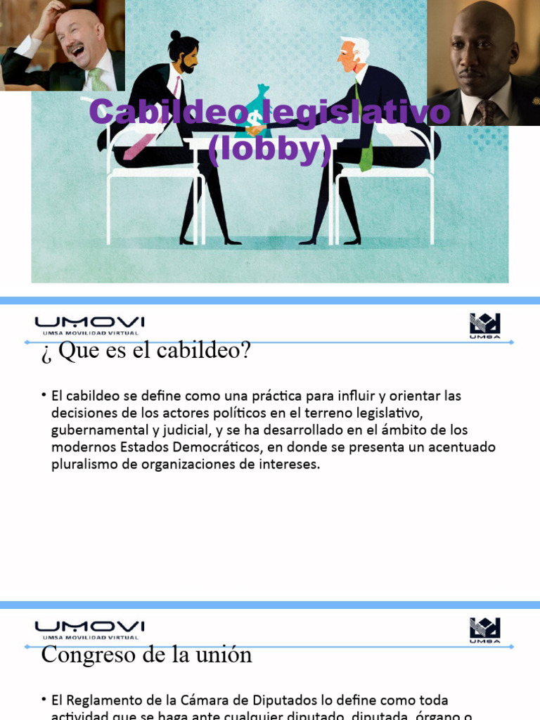 Cabildeo Legislativo (Lobby) | PDF | Grupo de defensores | Ciencias ...