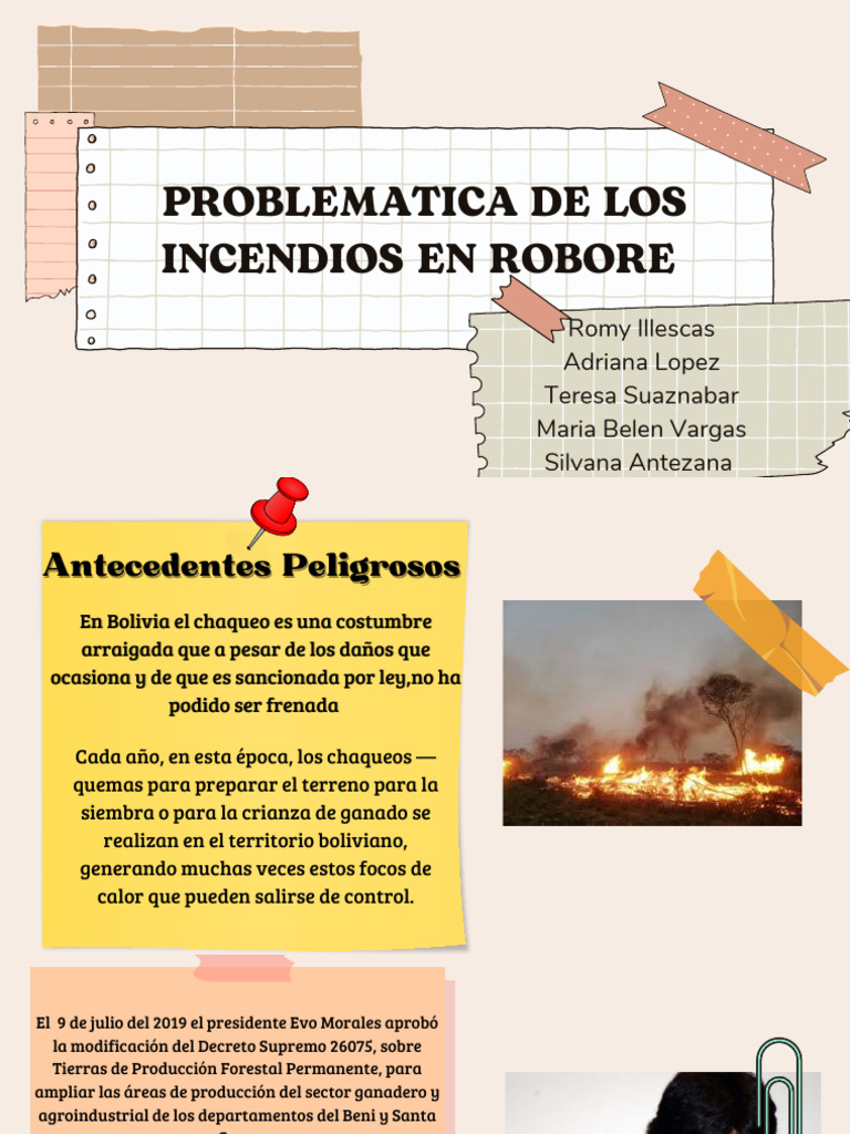 Incendios en Roboré: Crisis Ambiental Infantil | PDF | Deforestación ...