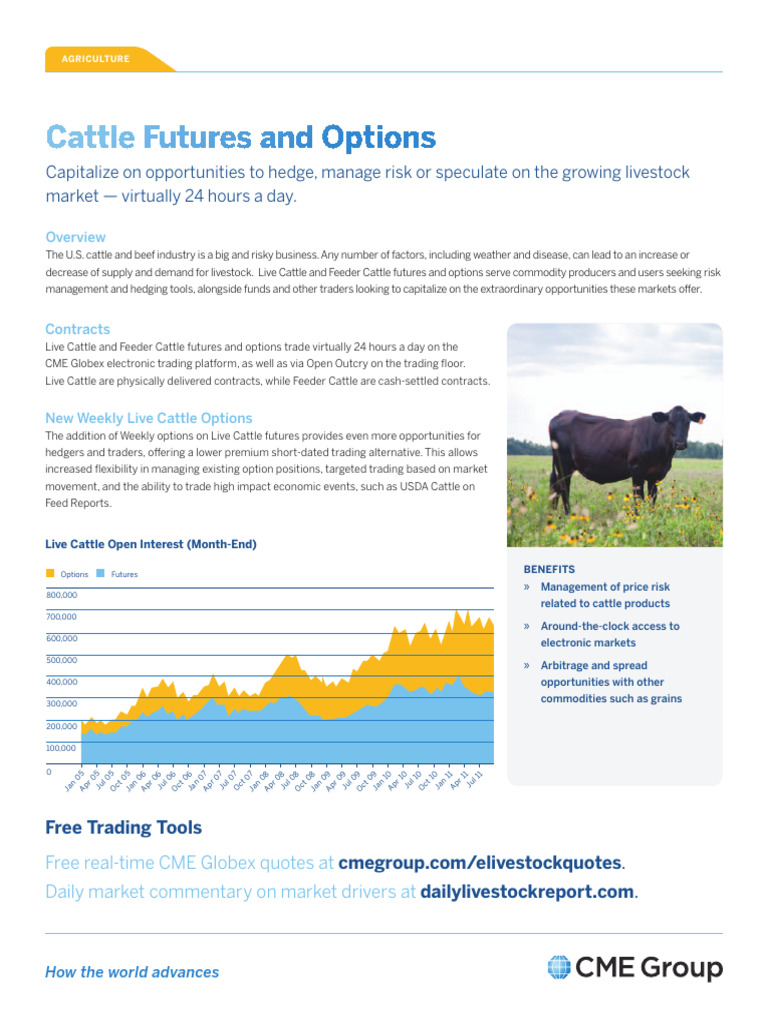 Cattle Futures and Options | PDF | Chicago Mercantile Exchange | New ...