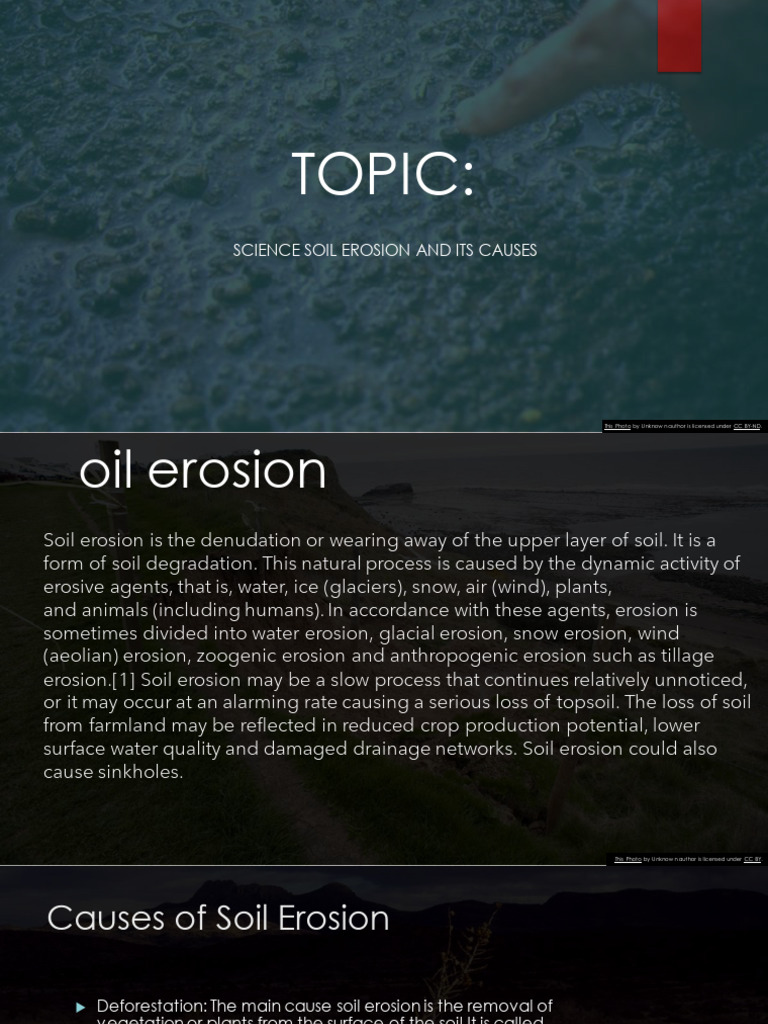Soil Erosion | PDF | Home & Garden | Science & Mathematics