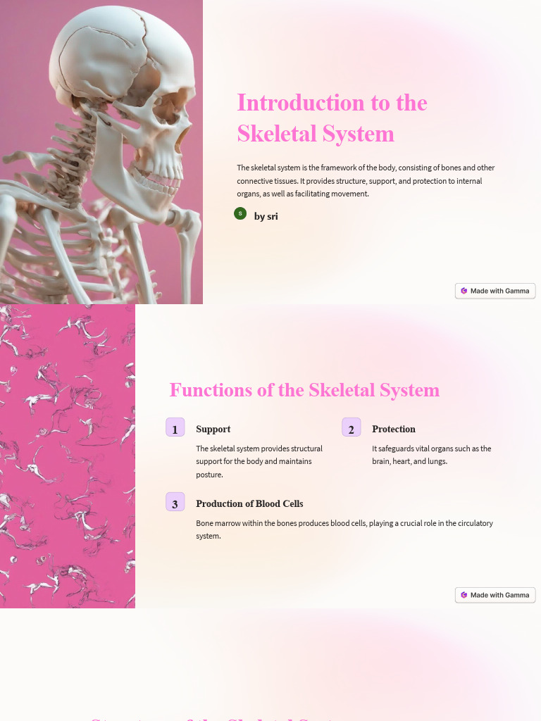 Overview of the Skeletal System | PDF | Human Body | Muscle