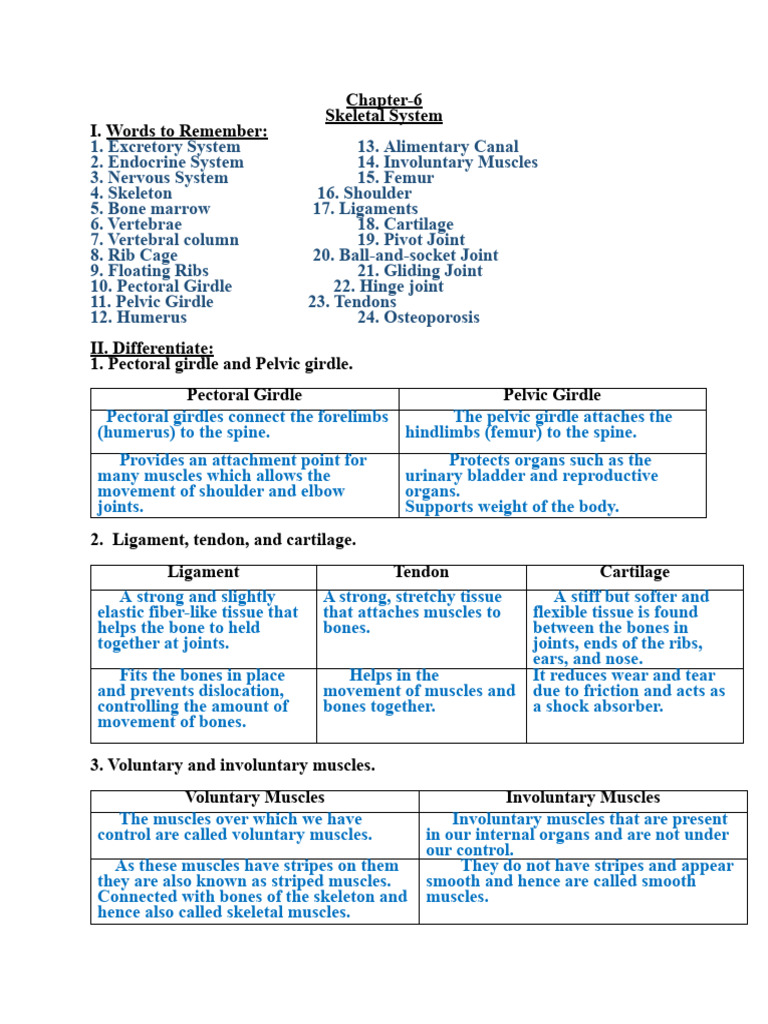 Chapter-6 Skeletal System-Notes of Lesson | PDF | Vertebral Column ...