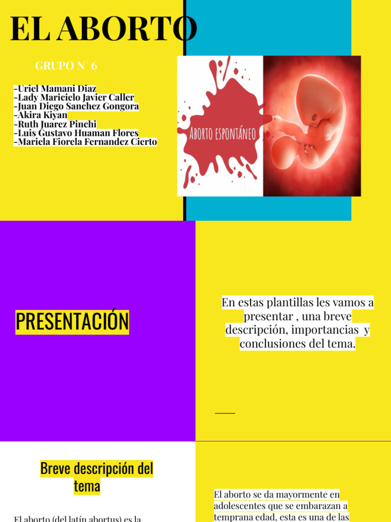 El Aborto | PDF | Aborto | El embarazo