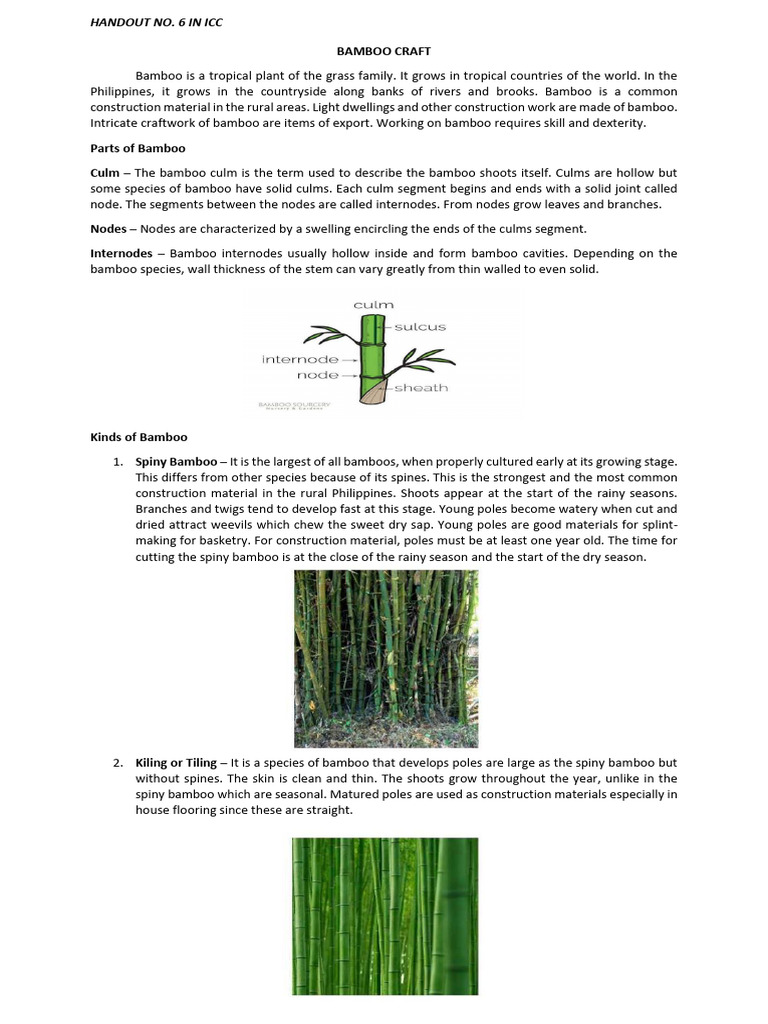 Handout No. 6 in Icc | PDF | Bamboo | Plant Stem