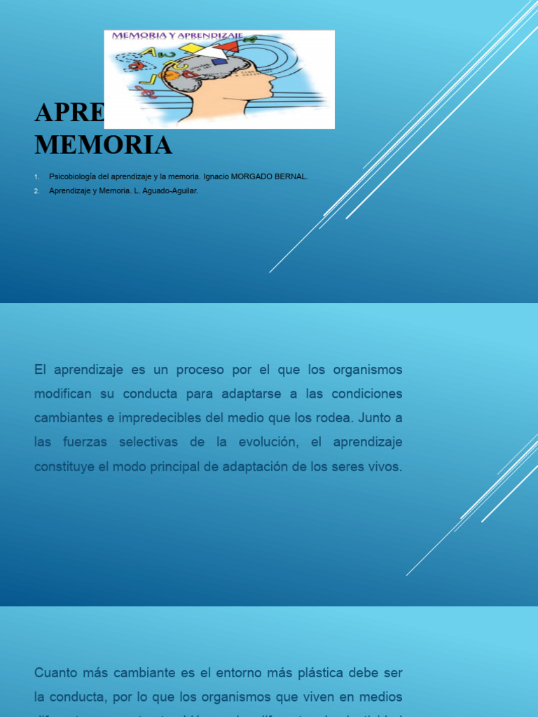 Aprendizaje y Memoria | PDF | Aprendizaje | Memoria