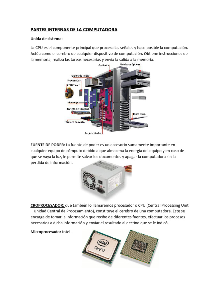 Partes Internas de Una Computadora - 021354 | Descargar gratis PDF ...