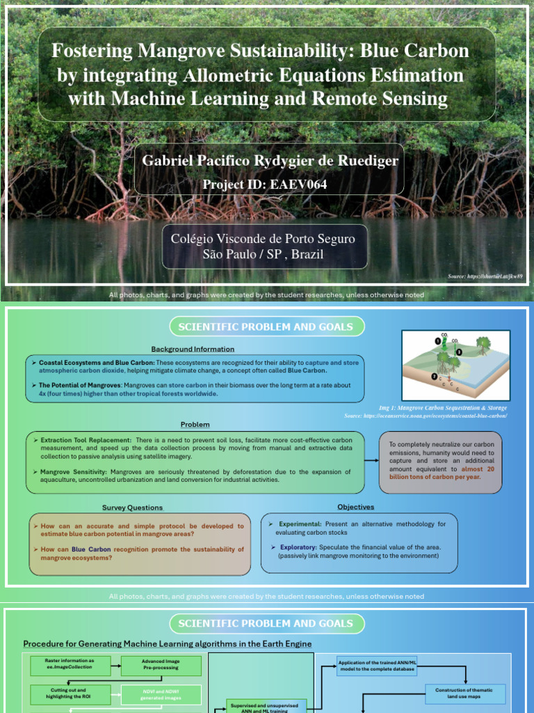 Project Presentation Final Version Gabriel Pacifico | PDF | Climate Change Mitigation ...