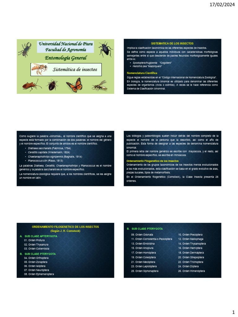Curso Virtual Ento. Gneral (Sistemática de Insectos) 2024 | PDF ...