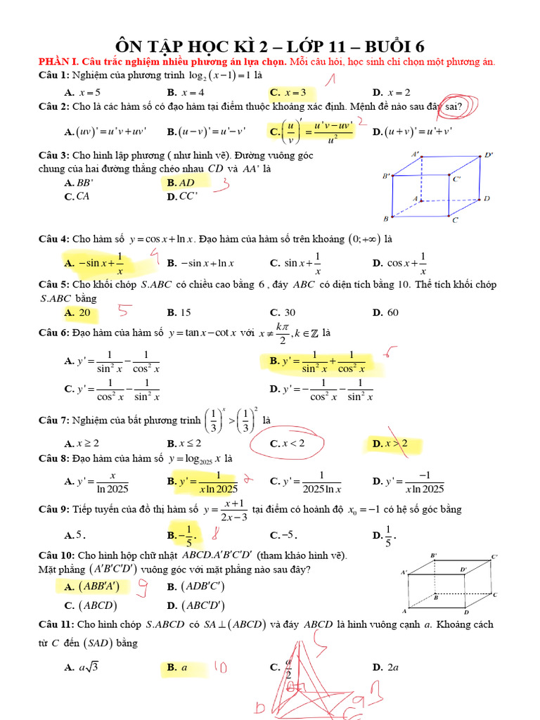 Ã N Táº P L11 - HKII - Buá I 6 | PDF