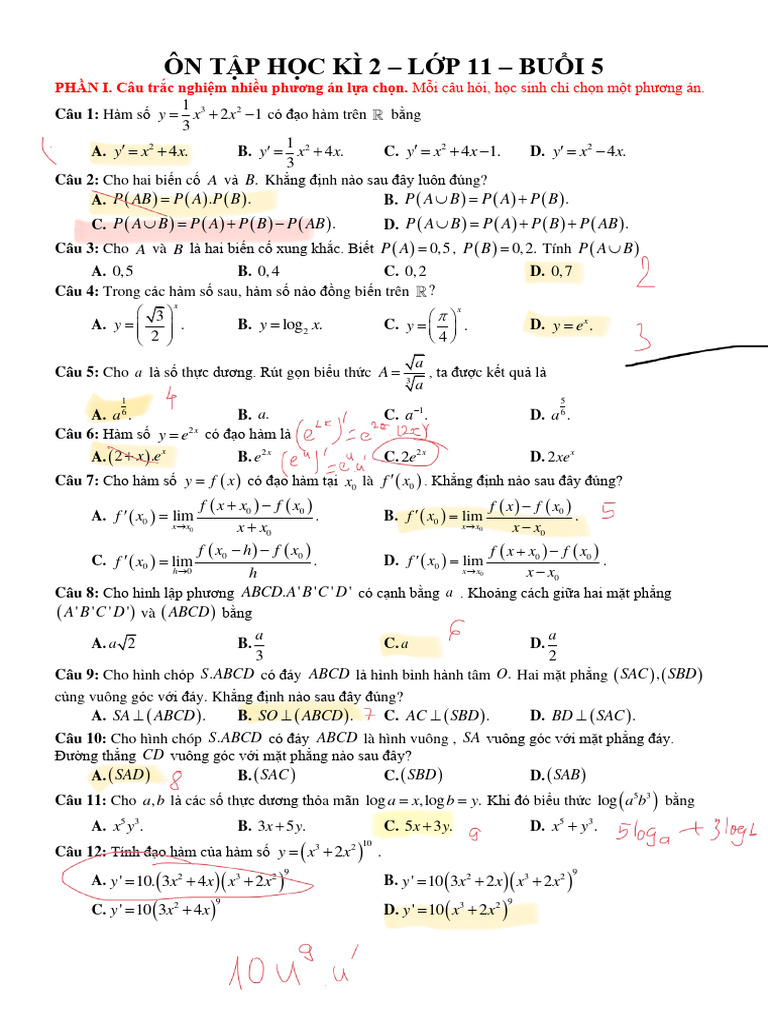 Ã N Táº P L11 - HKII - Buá I 5 | PDF