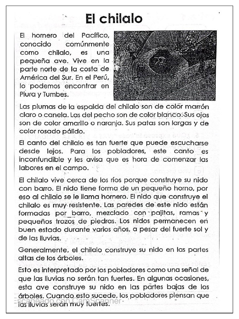 Leemos Texto Descriptivo El Chilalo | PDF