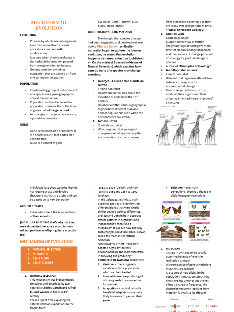 GenBio2 - Mechanism of Evolution | PDF | Evolution | Natural Selection