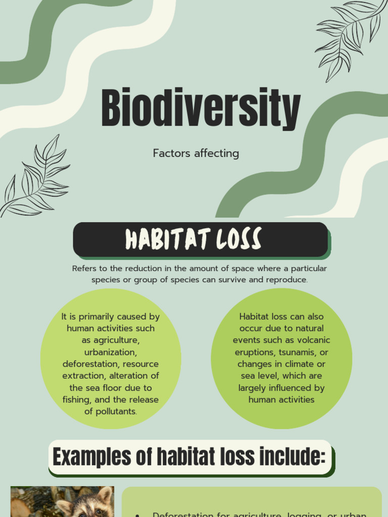 Factors Affecting Biodiversity | Download Free PDF | Habitat ...