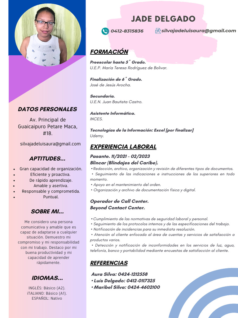 Perfil Profesional de Jade Delgado | PDF | Informática