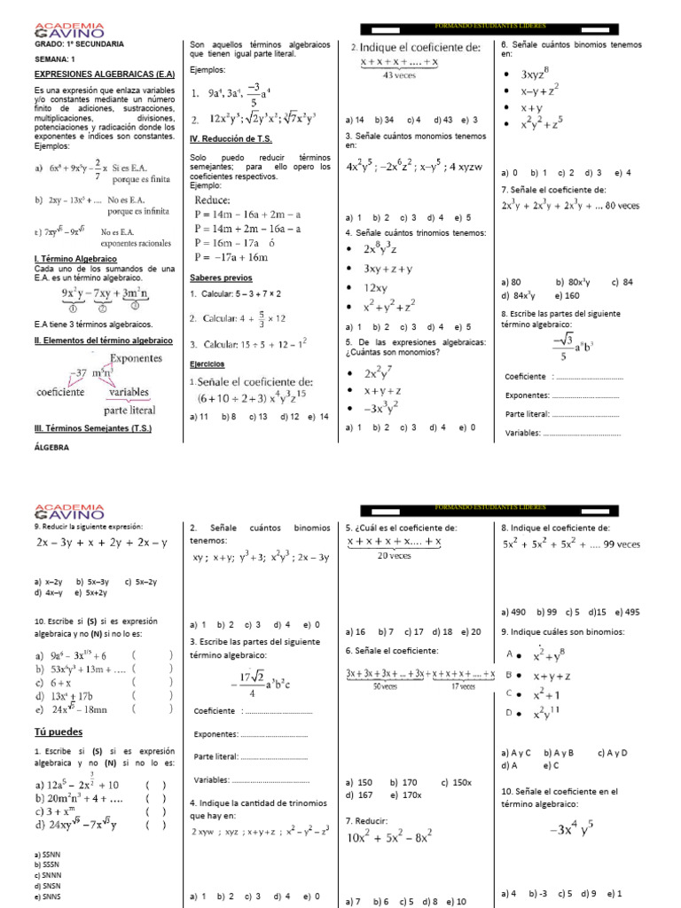 Alg1-T1-ALG-T1-Expresiones Algebraicas | PDF | Álgebra | Matemáticas