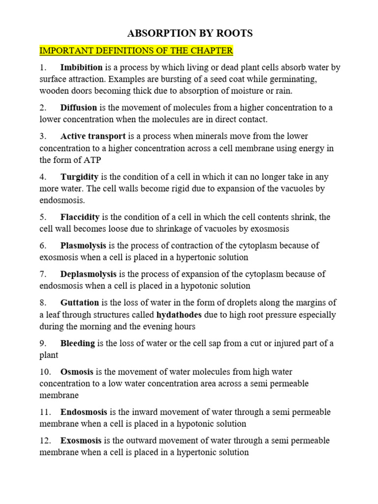 Plant Water Absorption Basics | PDF | Osmosis | Botany
