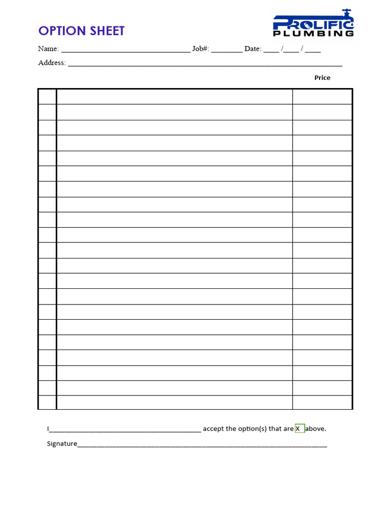 Option Sheet Template V3 | PDF