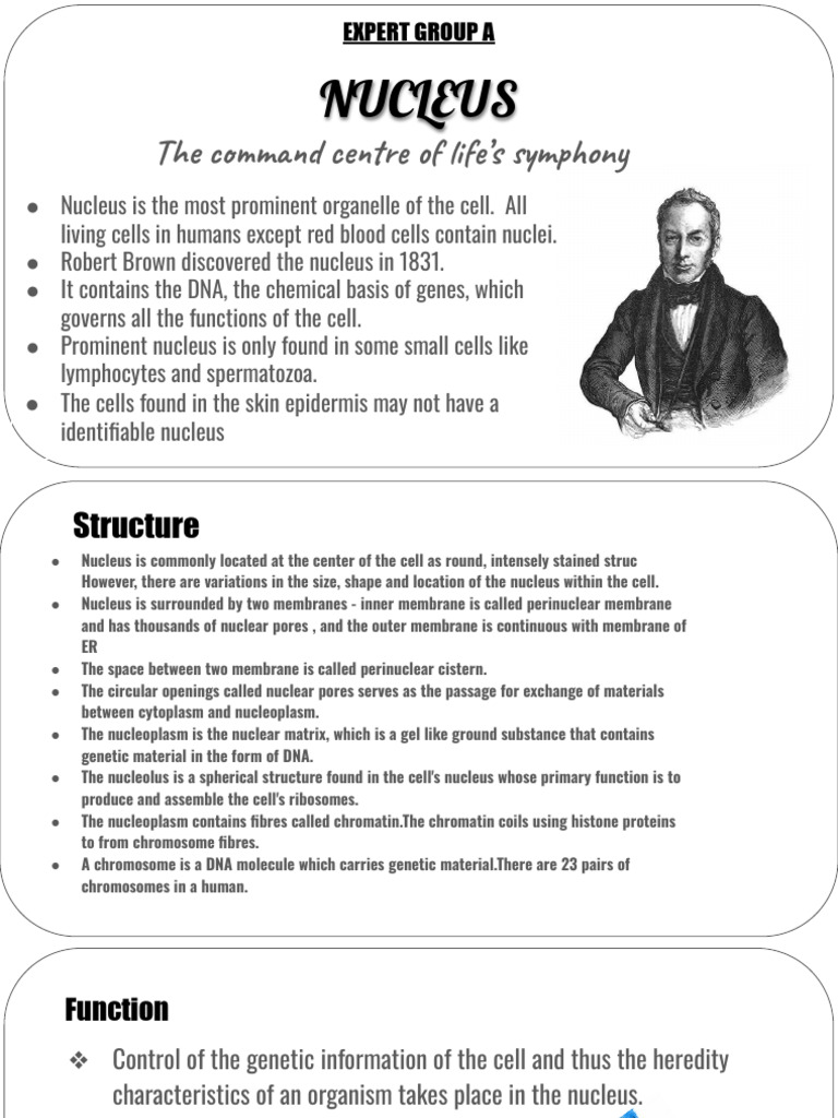 Basic Biochemistry - Cell | Download Free PDF | Endoplasmic Reticulum ...
