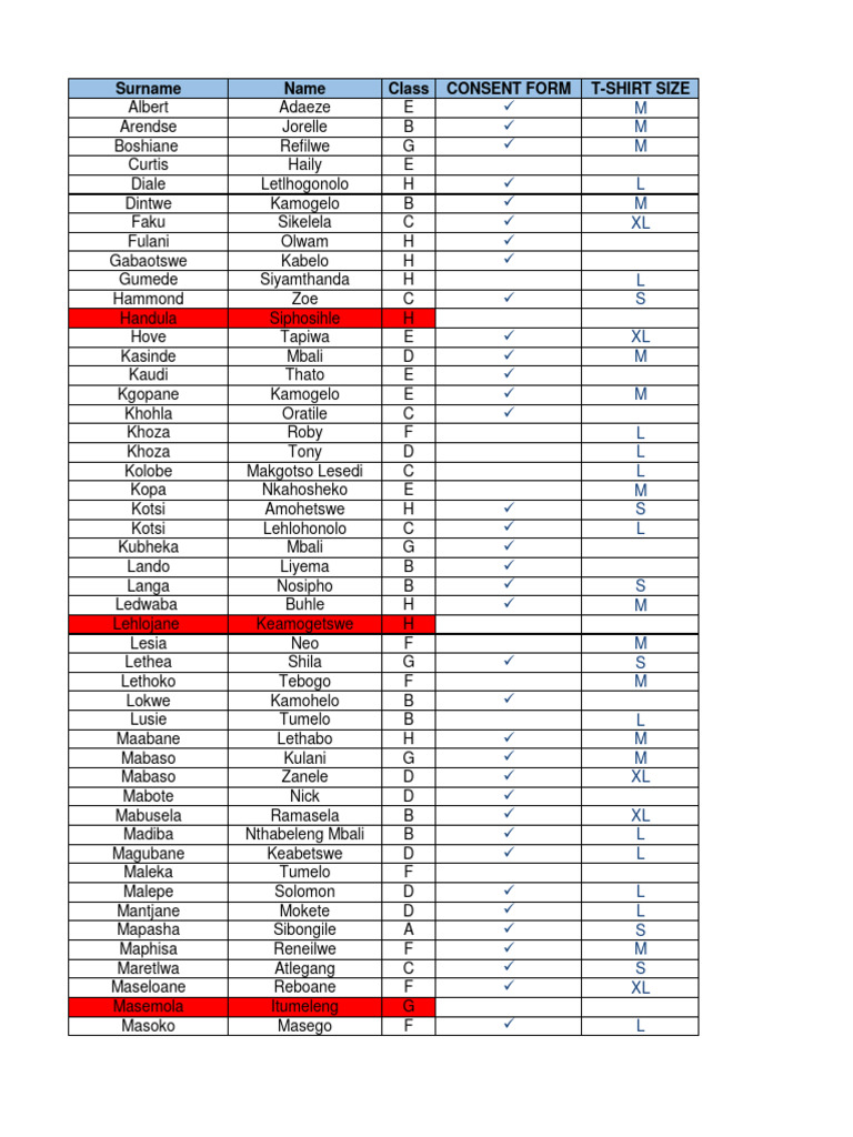 SPIRIT - Forms & T Shirt Sizes | PDF | Language Arts & Discipline