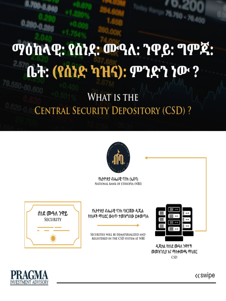 Central Security Depository (CSD) - Pragma Capital | PDF