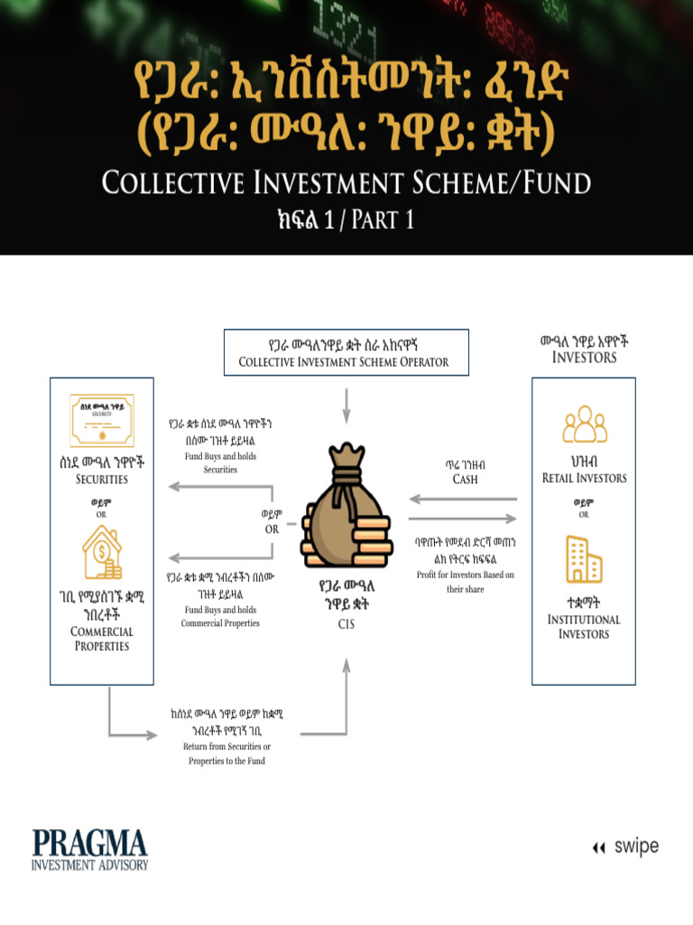 Collective Investment Scheme | PDF