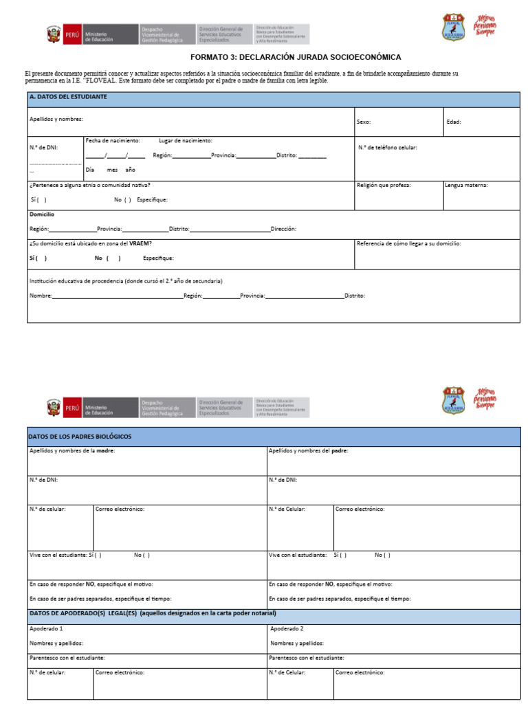 Modelo de Ficha-Socieconomica Sugerida - PADRES | PDF | Documento de ...