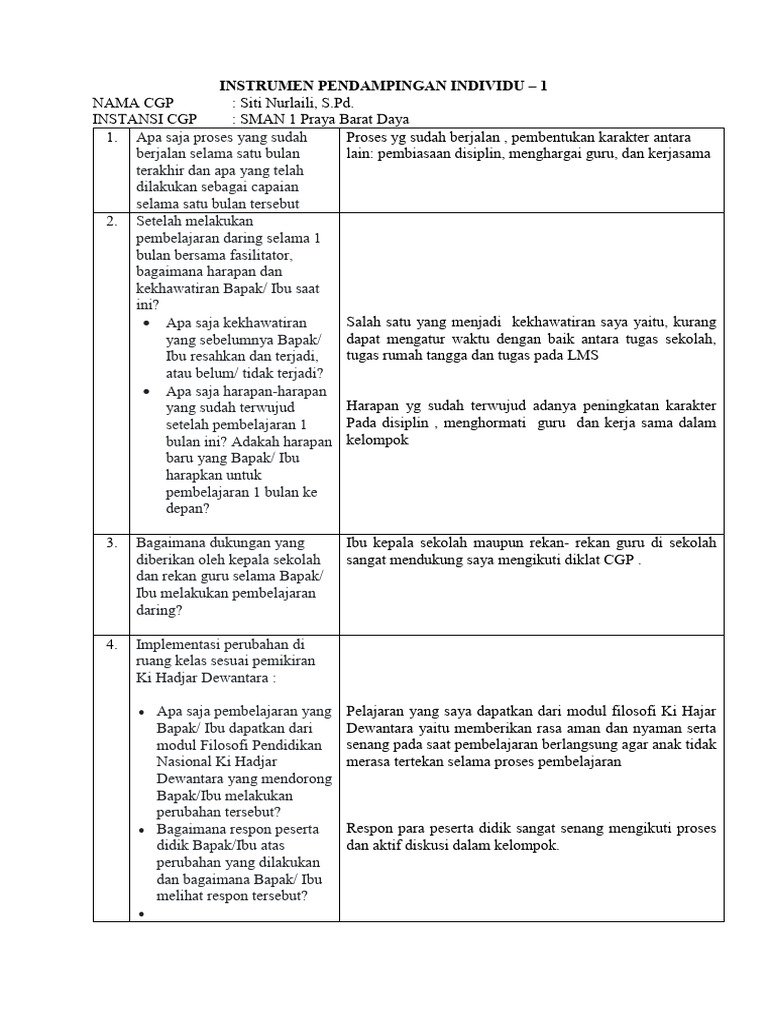 Instrumen Pendampingan Individu 1 Siti Nurlaili | PDF