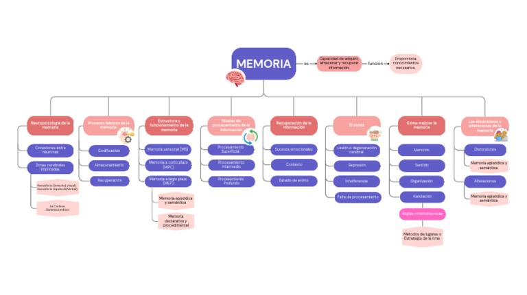 La Memoria | PDF | Memoria | Neuropsicología