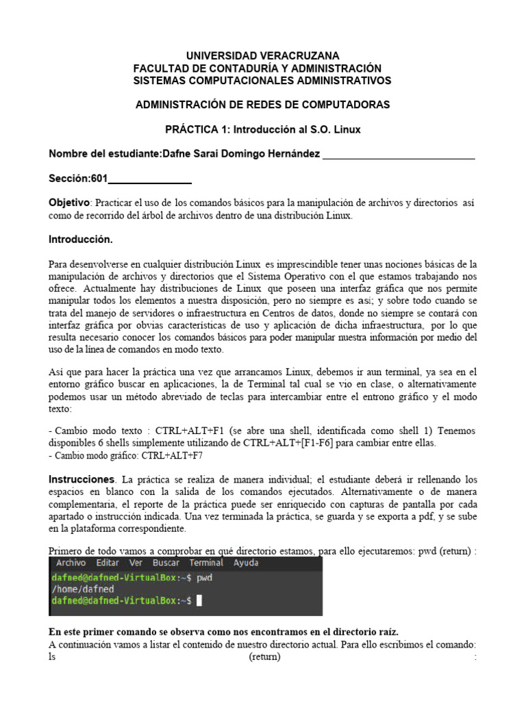 Practica1 Comandos Basicos Shell | PDF | Archivo de computadora | Interfaz de línea de comando