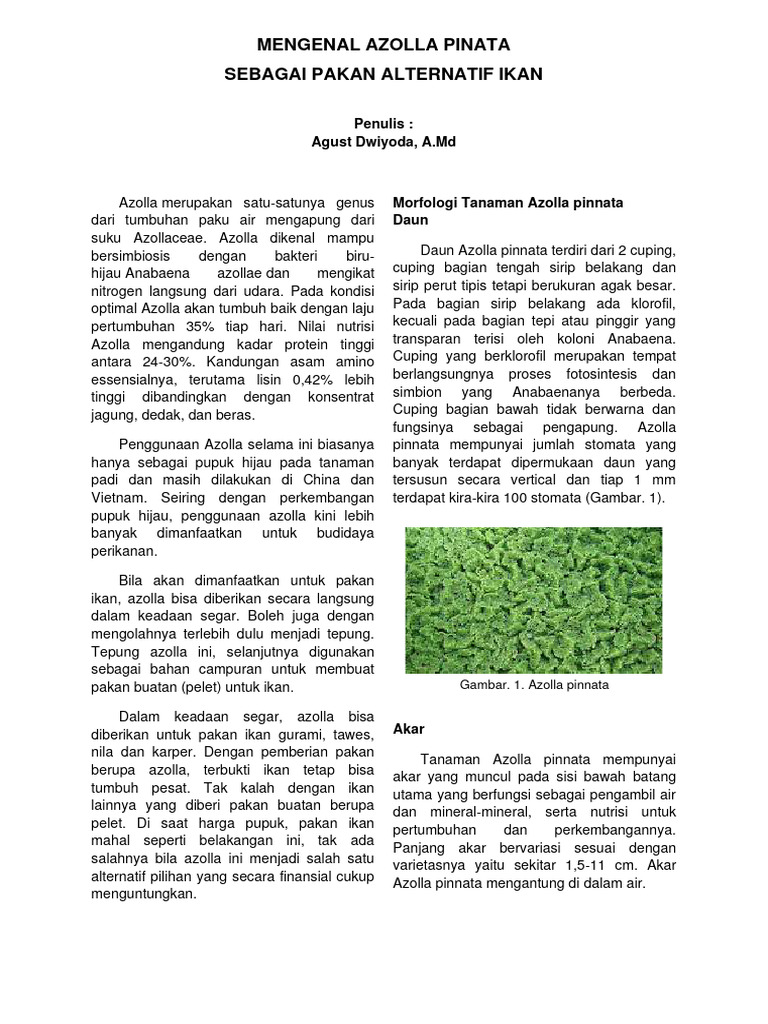 Mengenal Azolla Pinata Pdf