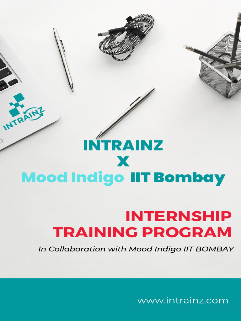 Intrainz Program Description | PDF | Internship | Job Hunting