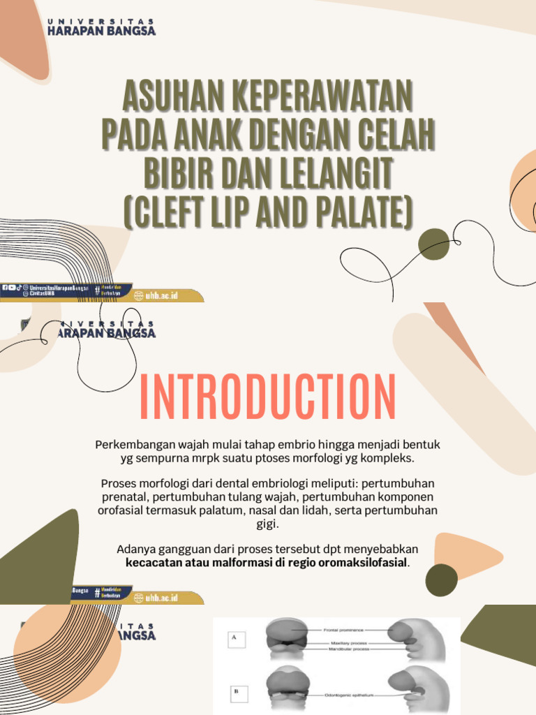 Asuhan Keperawatan Anak Celah Bibir Lelangit | PDF | Sains & Matematika