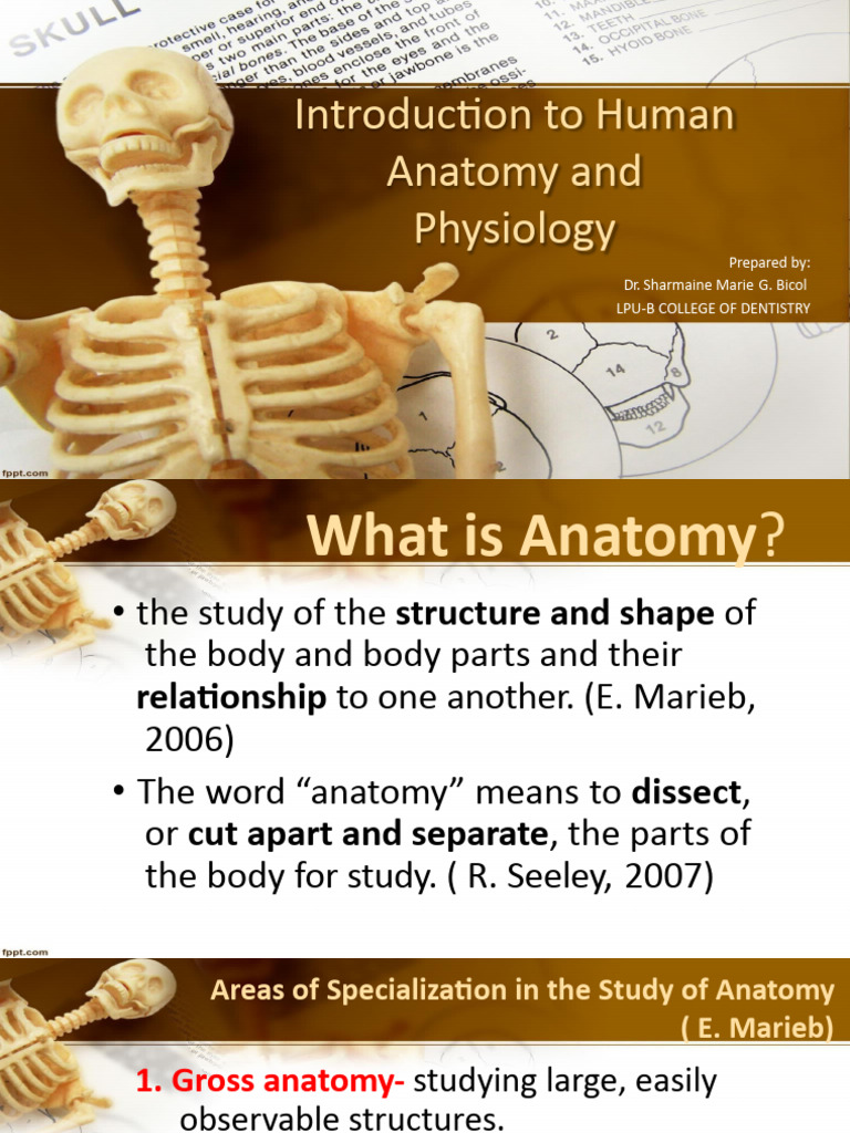 Chapter 1 Introduction To Anaphsyio | PDF | Peritoneum | Anatomical ...