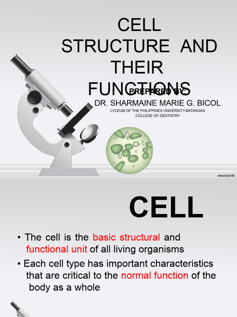 Chapter 2 Cell Structure and Function | Download Free PDF | Cell Membrane | Chromosome