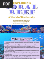 Exploring Food Webs in The Coral Reef PDF | PDF | Coral Reef | Coral