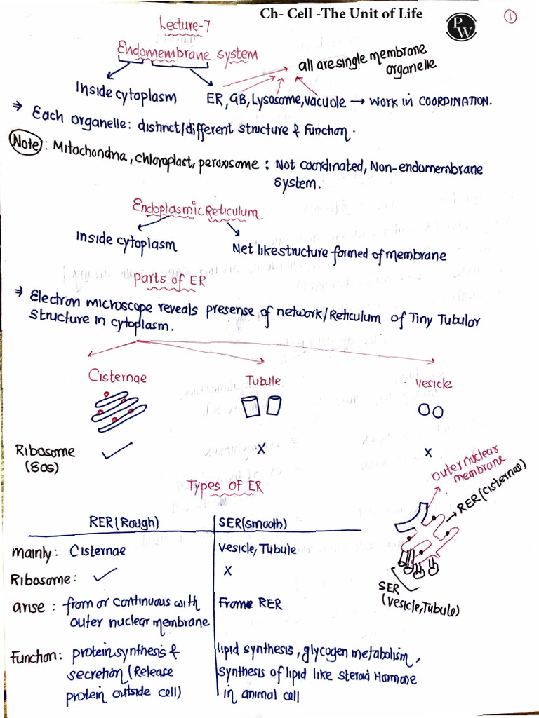 Cell - The Unit of Life 07 - Handwritten Notes - Arjuna NEET 2025 | PDF
