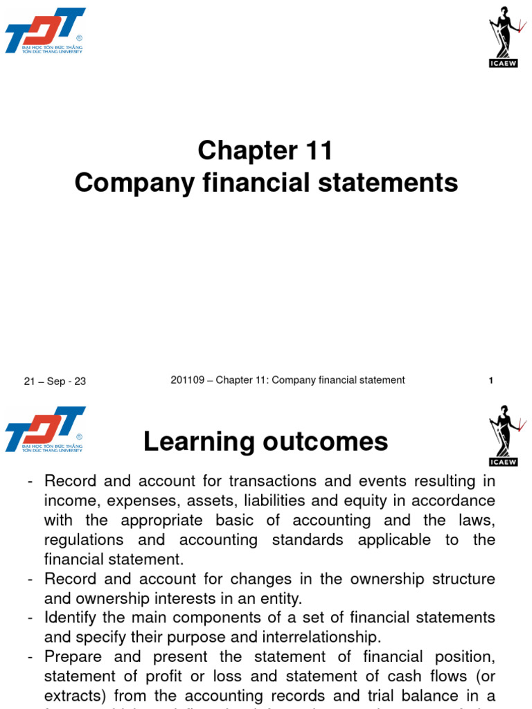ICAEW Chapter 11 Company Financial Statement | PDF | Debits And Credits ...