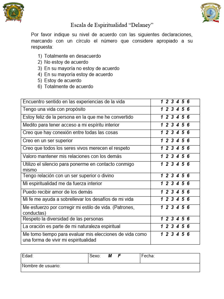 Escala de Espiritualidad Delaney Modificada | PDF