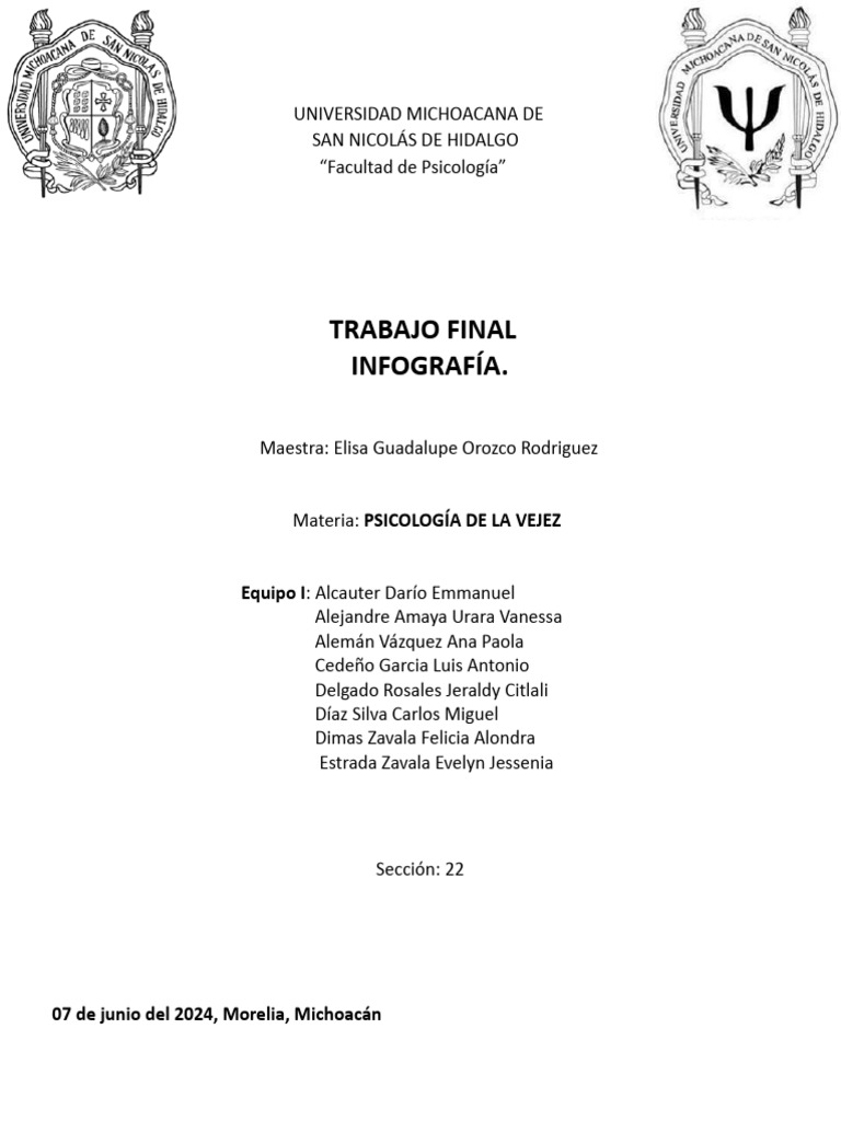 Infografia Final Vejez | PDF | Adultos | Vejez