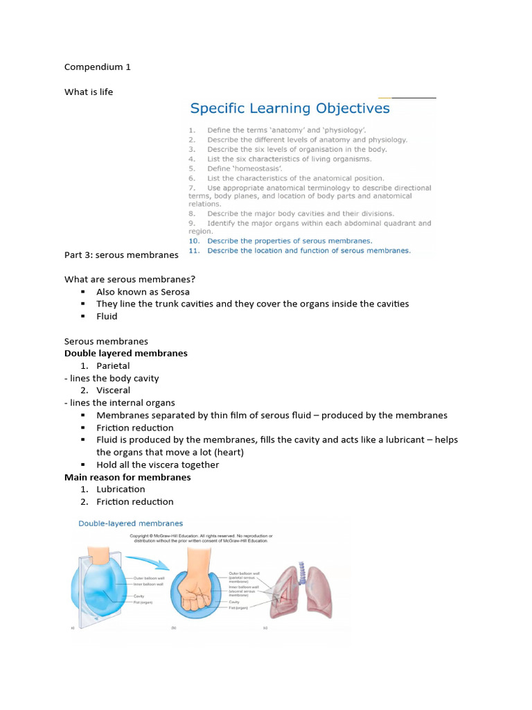 Compendium 1 Part 3 | PDF