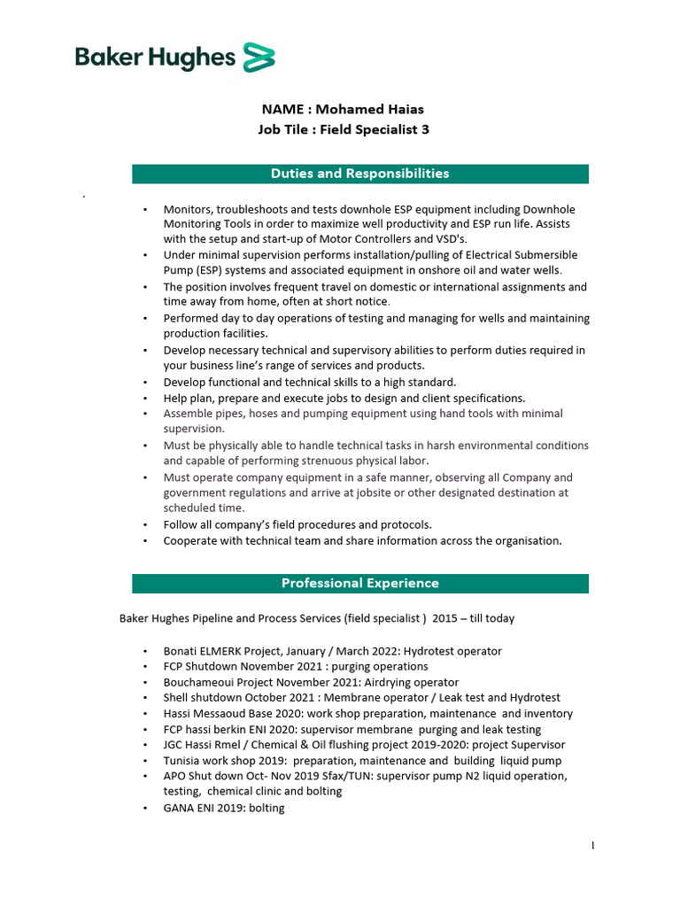 #Mohamed Haias BH Template | PDF | Pump | Safety
