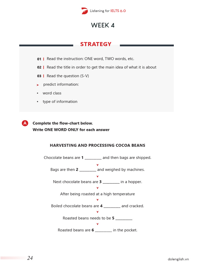 Lesson 4 - Listening - Handout | PDF | Chocolate | Sugar Confectionery