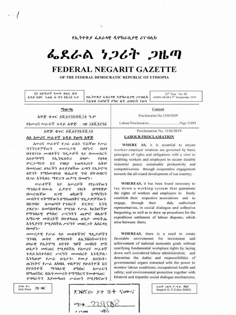 Labour Proclamation 1156 | PDF