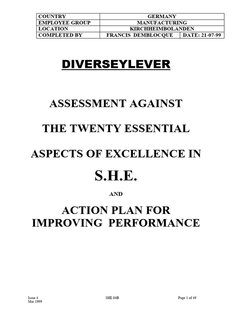 Diverseylever: Assessment Against The Twenty Essential Aspects of ...