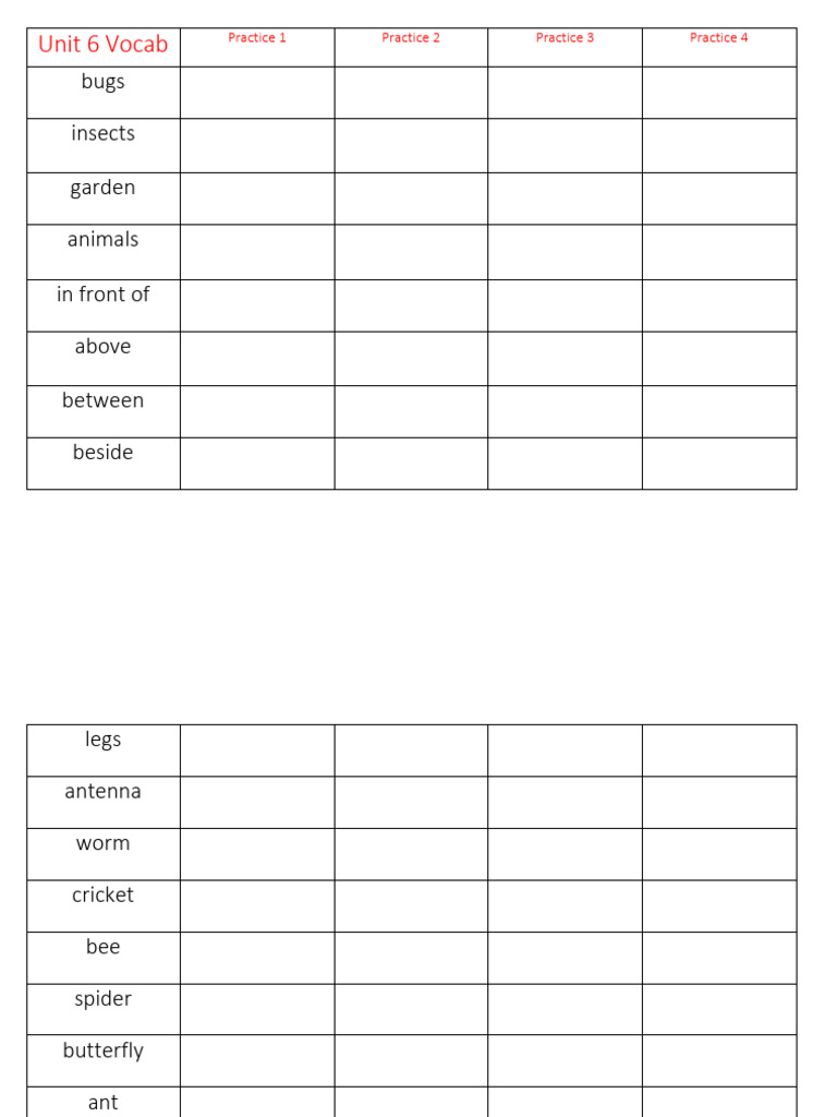 Spelling Practice Unit 6 | PDF