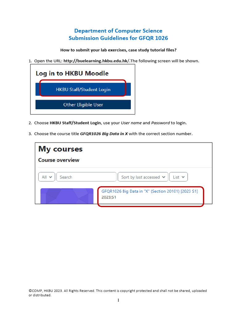 Submission Guide | PDF | Computer File | Data Management