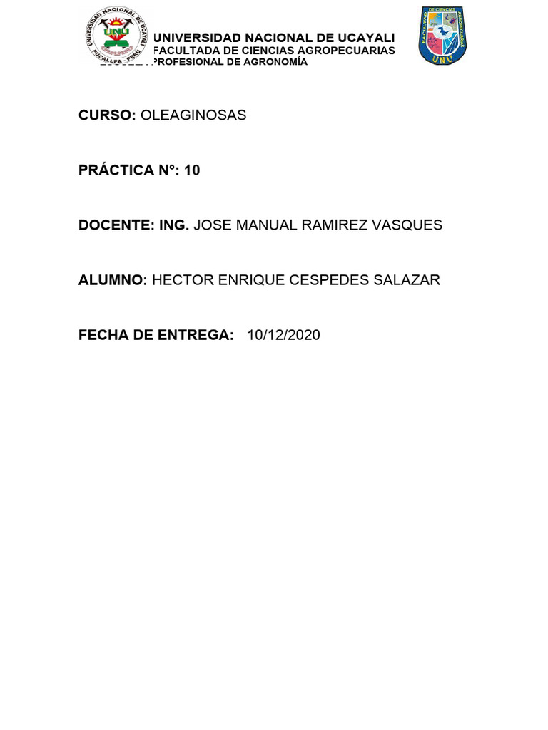 PRACTICA N° 10 DE OLEAGINOSAS | PDF | Miseria | Vitamina